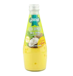 Buen Provecho COCONUT MILK SMALL Mango with NATA 24/ 290 ml – New Age